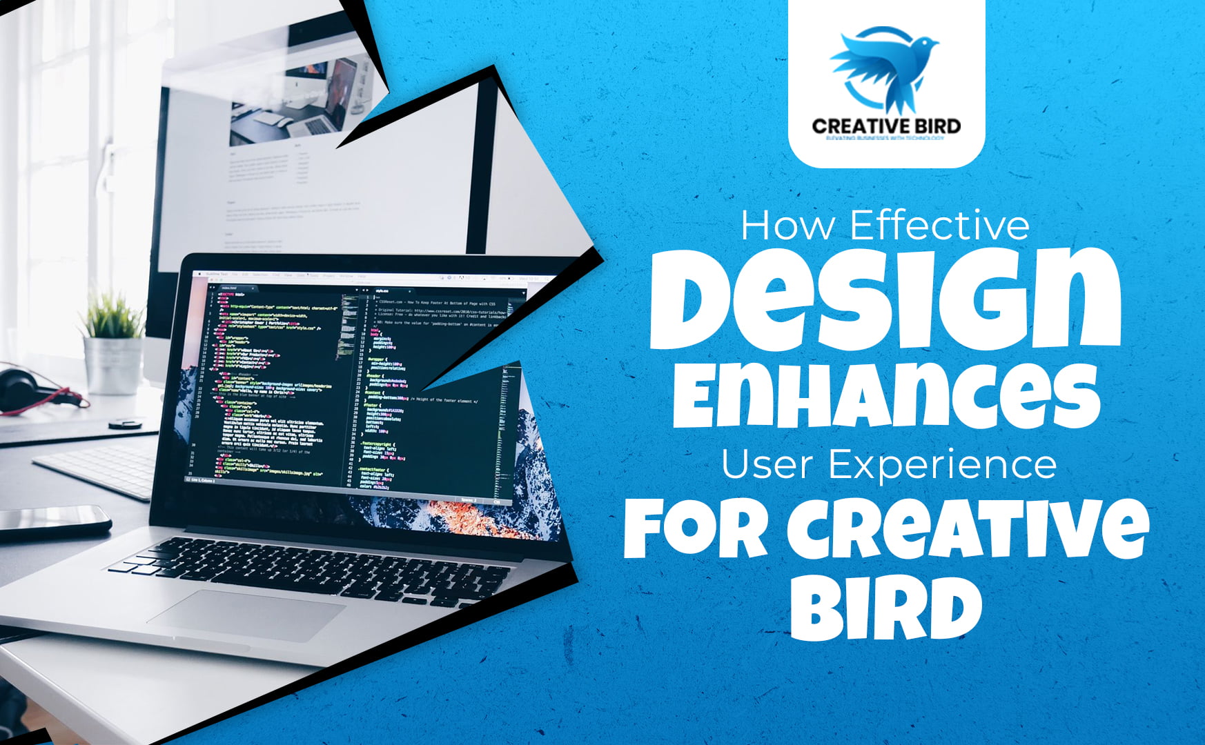 How Effective Design Enhances User Experience for Creative Bird