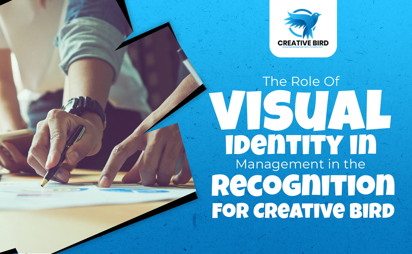 The Role of Visual Identity in Building Brand Recognition for Creative Bird